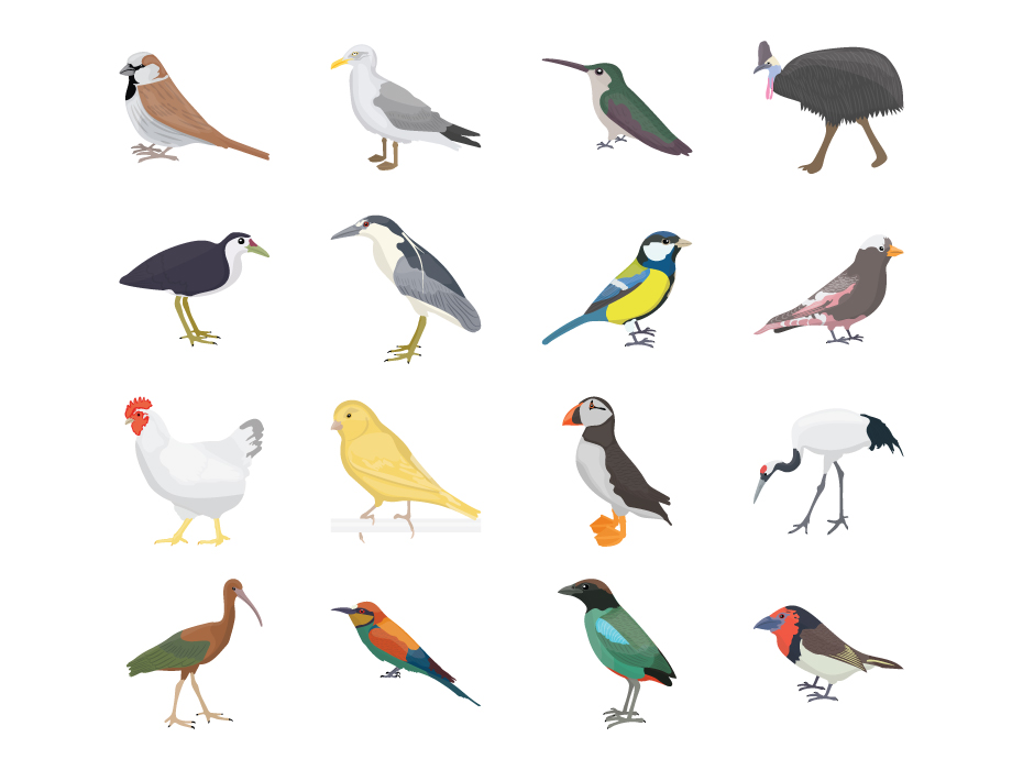 Birds Flat Vectors Free - Frebers