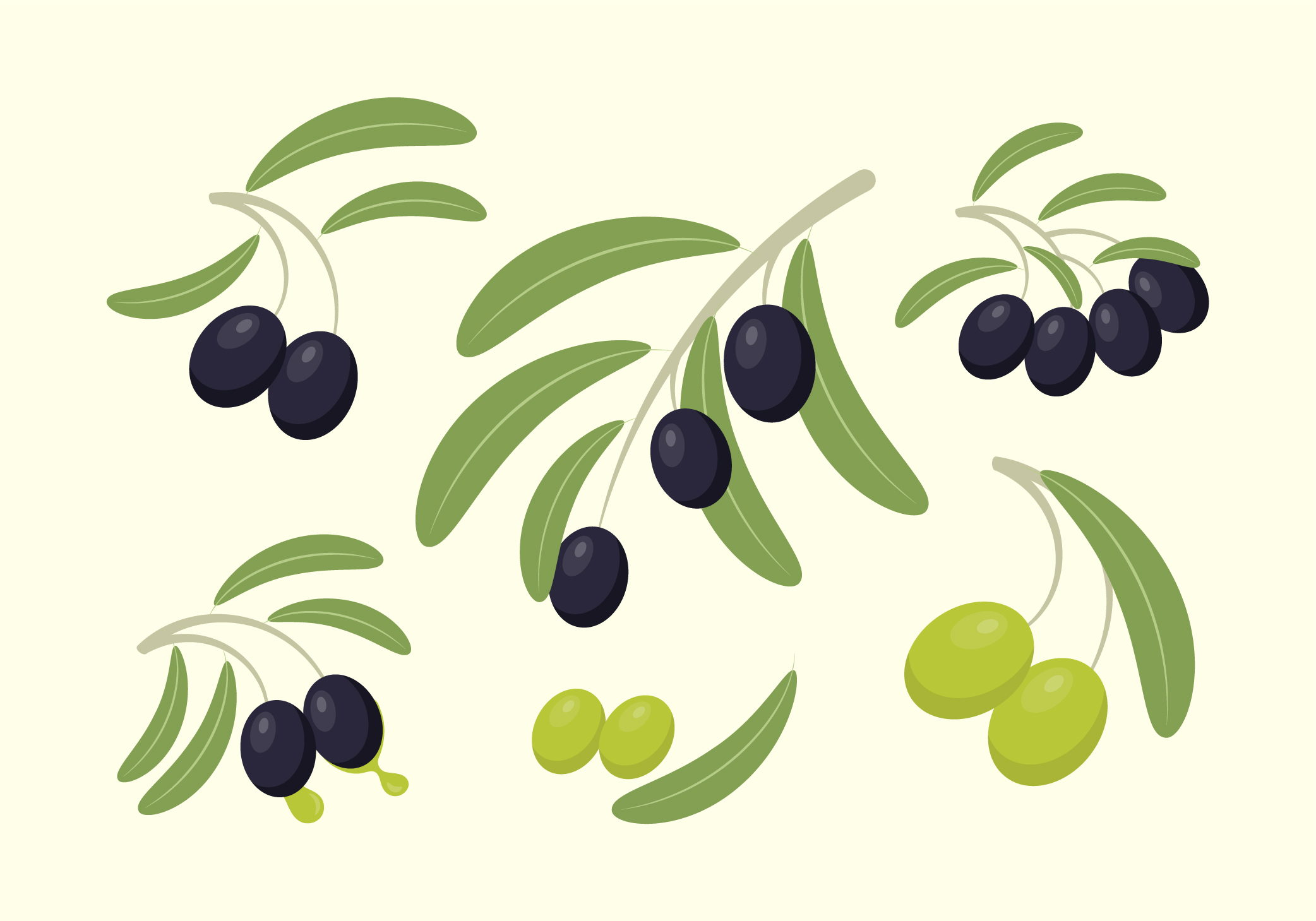 Free Olives Vector Art | Frebers