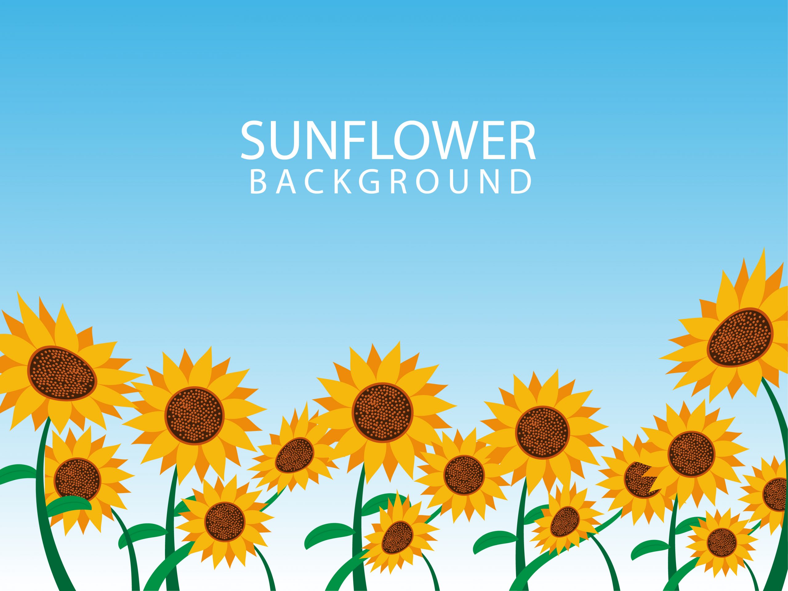 Sunflower Vector Background - Frebers